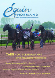 Equin Normand » EQUIN NORMAND